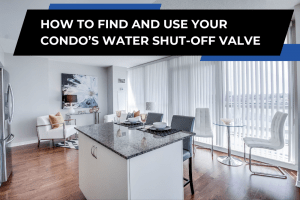 Condo Water Shut Off: How to Find and Use Your Shut-Off Valve